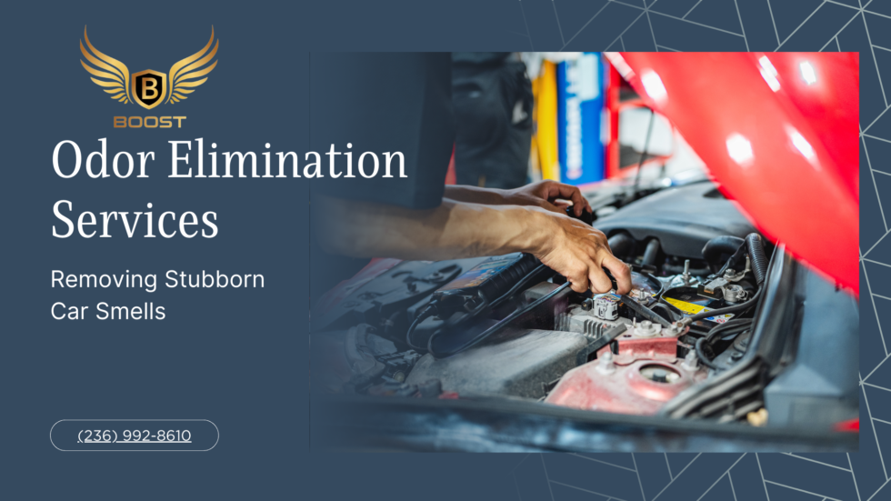 Odor Elimination Services: Professional Ozone